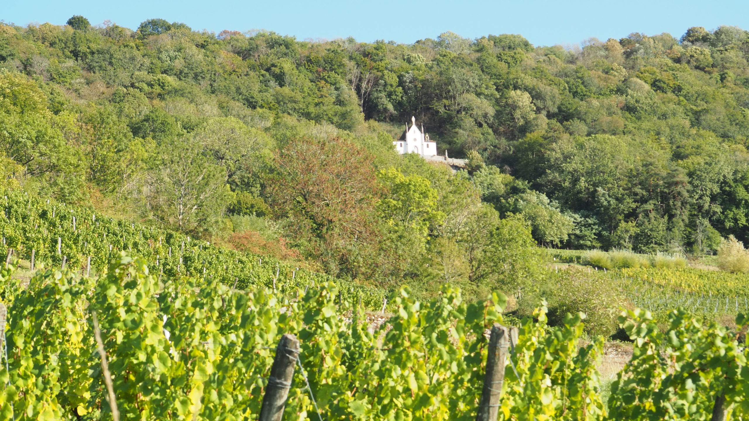 Lavigny, Lavinius - JurAbsolu